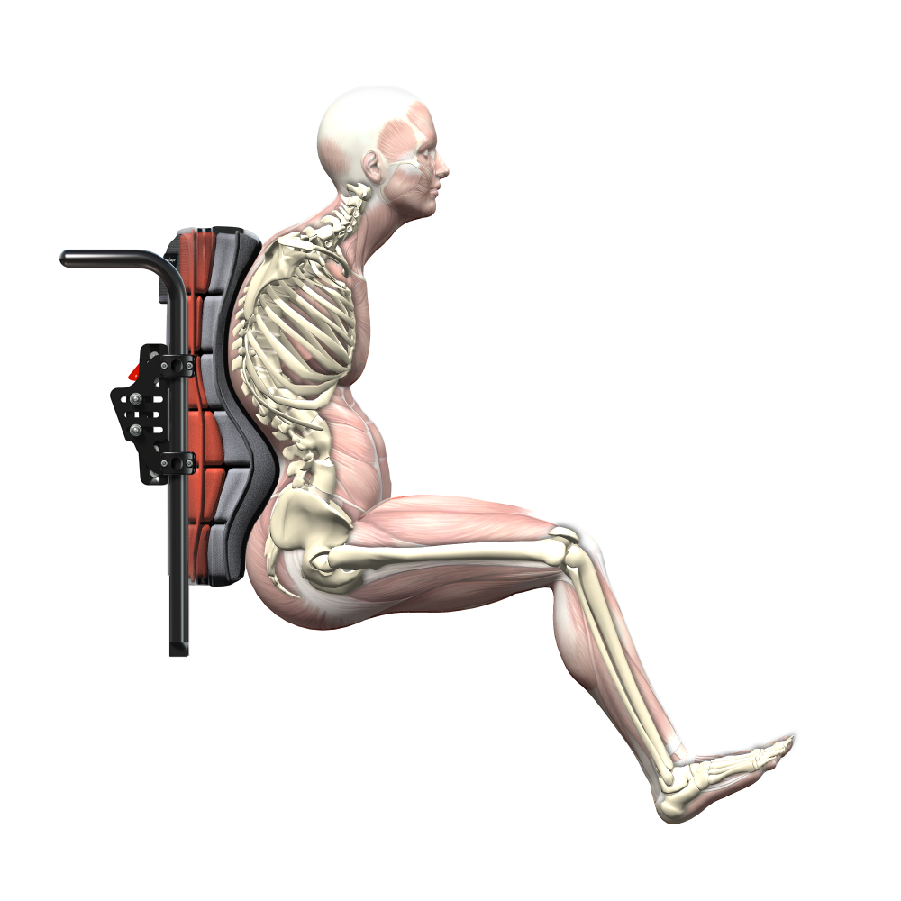 Super Shape Wheelchair Backrest | Active Rehab